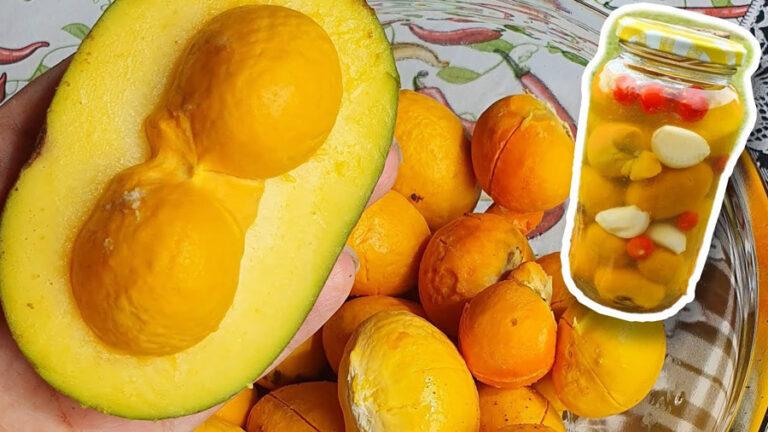 Conserva de Pequi Caseira no Óleo (Perfeita)